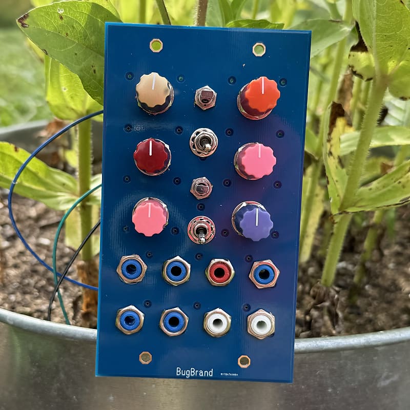 Bugbrand Synthesis Technology E350 Morphing Terrarium 2024 - | Reverb