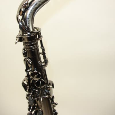 Cannonball Raven Big Bell Stone Series Alto Saxophone w/ | Reverb UK
