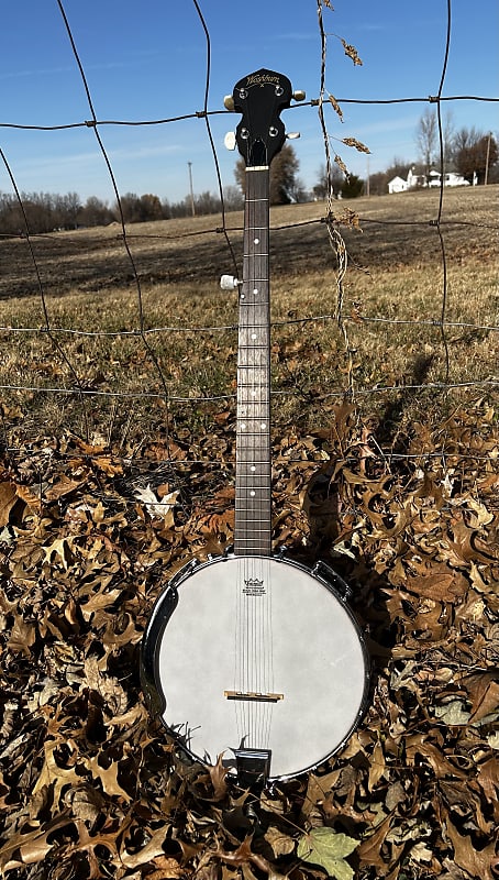 Washburn B7 banjo | Reverb
