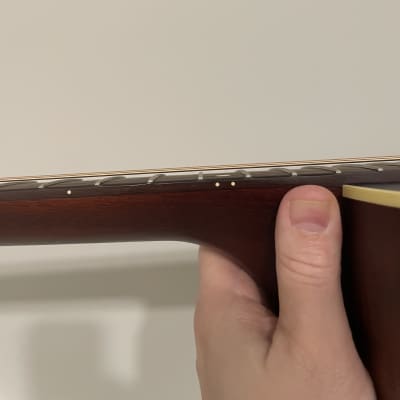 Iris De-11 Dan Erlewine Acoustic Guitar 2022 - Sunburst | Reverb