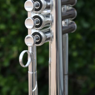 BAC Musical Instruments Handcraft Series Paseo Professional | Reverb