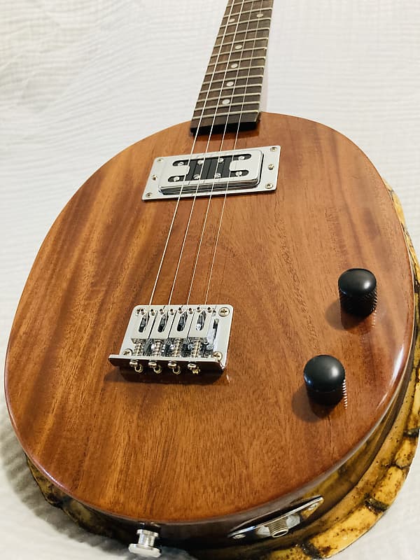 Turtle shell electric tenor guitar | Reverb