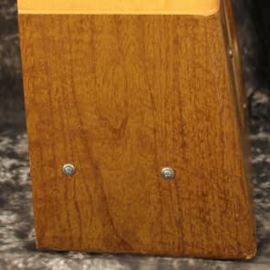 Vintage 1950 Multivox Premier Model 50 Tube Guitar Amplifier | Reverb