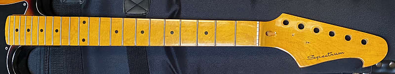 Spectrum Stratocaster Guitar Neck | Reverb