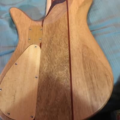 Ray Roger R Bass 5 string | Reverb