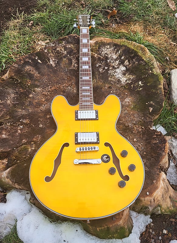 Custom Flame E335 Semi Hollow Electric Guitar with Gigbag | Reverb