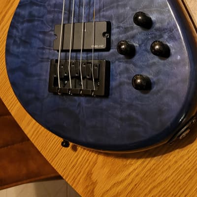 Spector Q4 Pro | Reverb