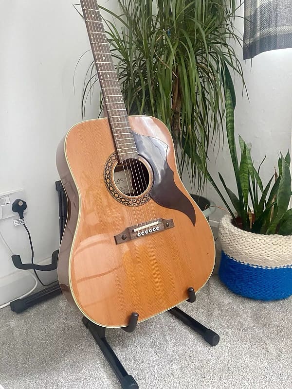 Eko ranger 1960's - original rare 1st shape | Reverb