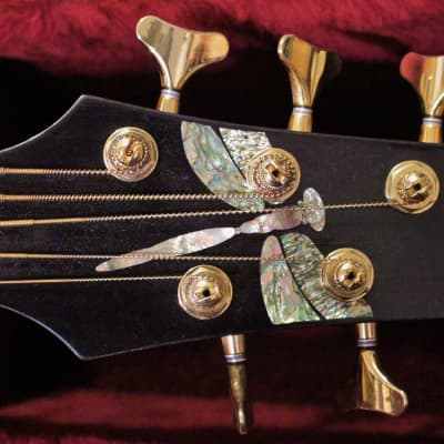 Harry Fleishman 'Dragonfly'. 1995 One of a Kind Acoustic | Reverb