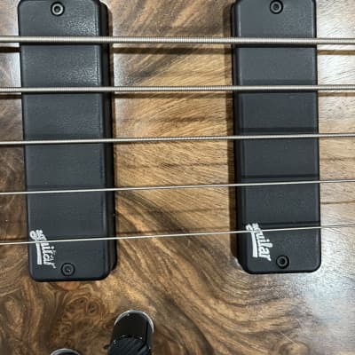 ALPHER MAKO ELITE 5 - WALNUT BURL | Reverb