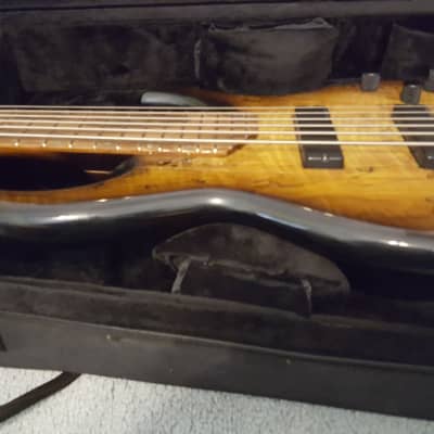 James Tyler 6 String Electric Bass 1993 Rare Paul Slagle One | Reverb