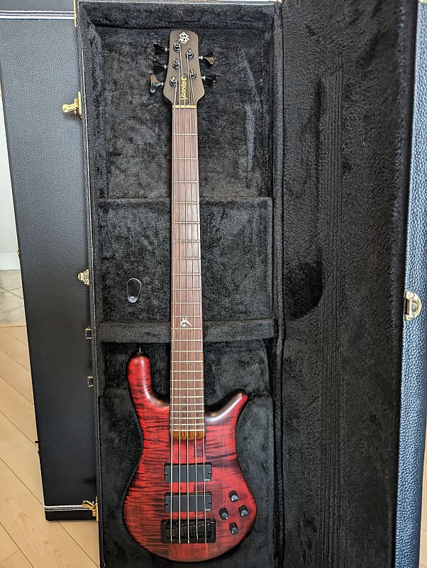 Spector Forte 5 Custom Wide 2017 - Transparent Black Cherry | Reverb