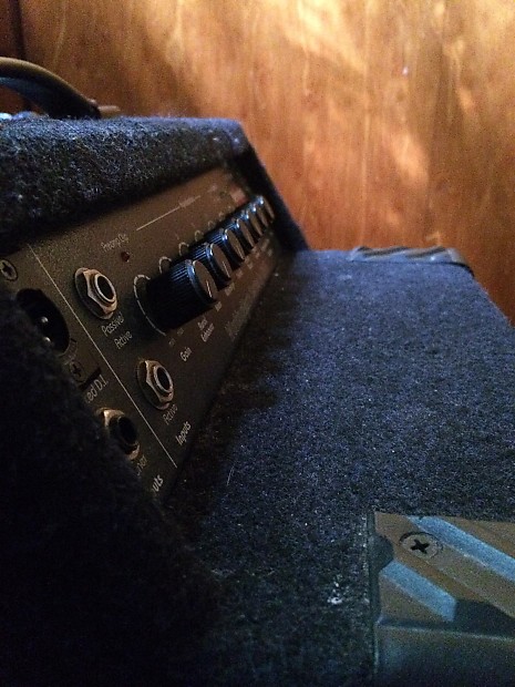 SWR Workingman's 12 Combo 2000's Black | Reverb