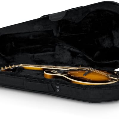 Gator Lightweight Case - Mandolin Bundle with D'Addario 3/4" | Reverb