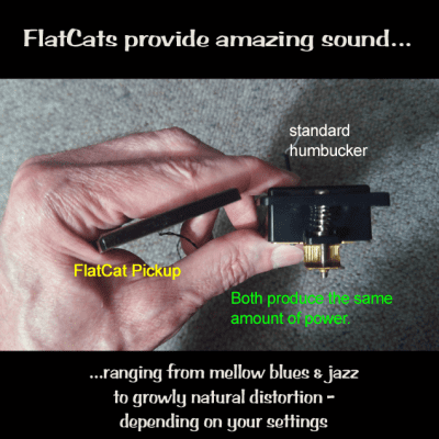 FlatCat Surface-Mount noiseless Mag Electric Guitar Pickup | Reverb