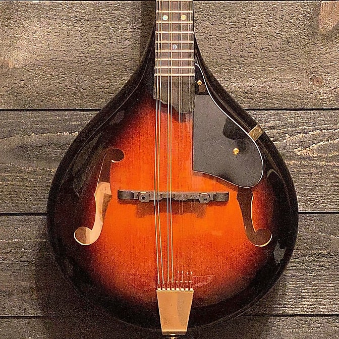 Gold Tone Rigal Signature A-Style Acoustic Electric Mandolin | Reverb