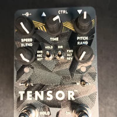 Red Panda Tensor Tape Delay/Time Warp (Authorized Dealer) In | Reverb