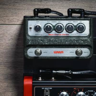Warm Audio WA-C1 Stereo Chorus & Vibrato Guitar Pedal with | Reverb