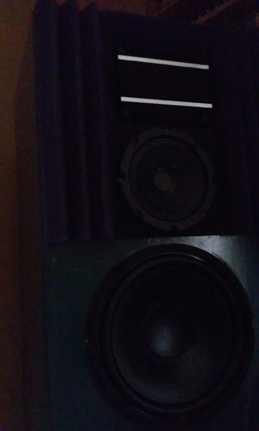 INFINITY/PMR RS6001-X Speaker Pair Upgraded in | Reverb Australia