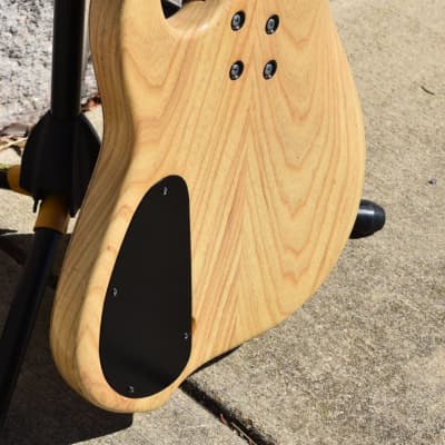 Scott Ambush Custom 5 String Bass | Reverb