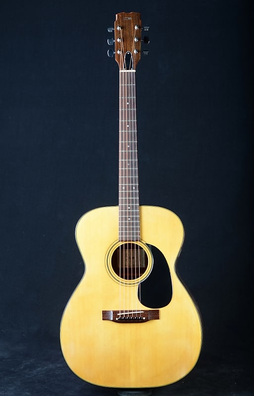 Conn F-10 Acoustic Guitar 1973 Natural | Reverb