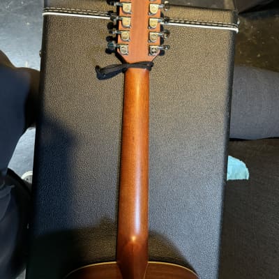 Washburn 12 string with hard case | Reverb