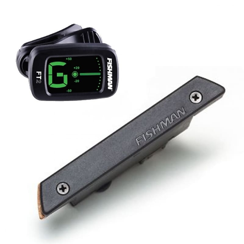 FISHMAN Rare Earth Single Coil Soundhole Guitar Pickup w/FT-2 | Reverb