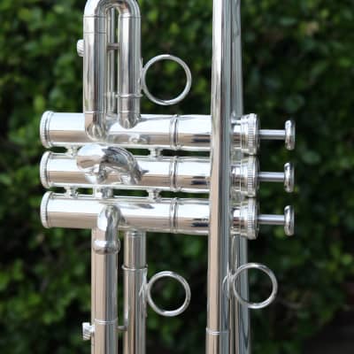 BAC Musical Instruments Handcraft Series Paseo Professional | Reverb