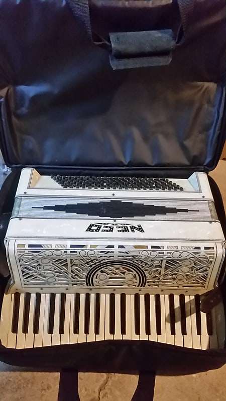 Brand-new soft carry case, fits many 120-bass accordions! | Reverb