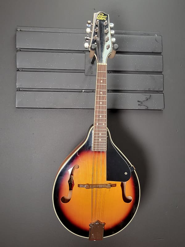 Rogue Mandolin Rm100a | Reverb