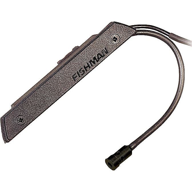 Fishman Rare Earth Blend Soundhole Pickup | Reverb