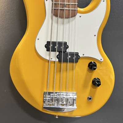 Alien Audio Constellation 5 string p bass Constellation 5 P | Reverb