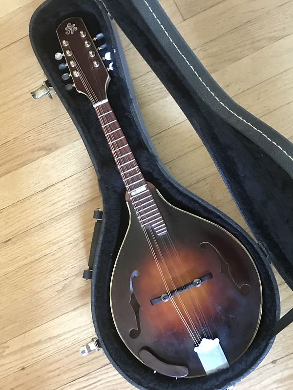 2022 American-made Catalfamo A-style mandolin w/f-holes - HSC | Reverb