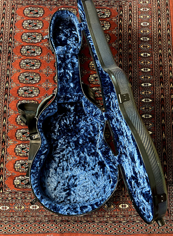 Hoffee Case 'Carbon Fiber Guitar Case' for Godin Multiac - | Reverb
