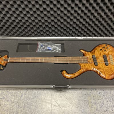 2002 Ritter Raptor Fretless 4-String Bass Marble | Reverb
