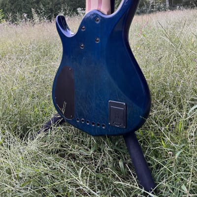 Sire M7 6 String Bass | Reverb