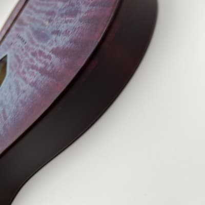 Warmtone Custom Guitars Tele “Blueberry “- Matte telecaster | Reverb