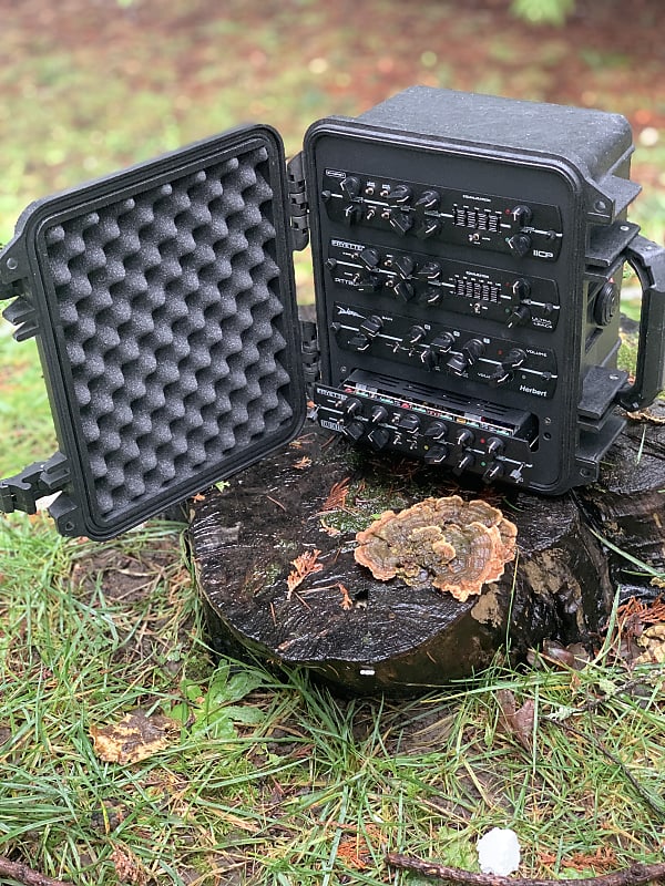 Burns Delta Model 4 Slot Case, Black, Synergy Randall | Reverb UK