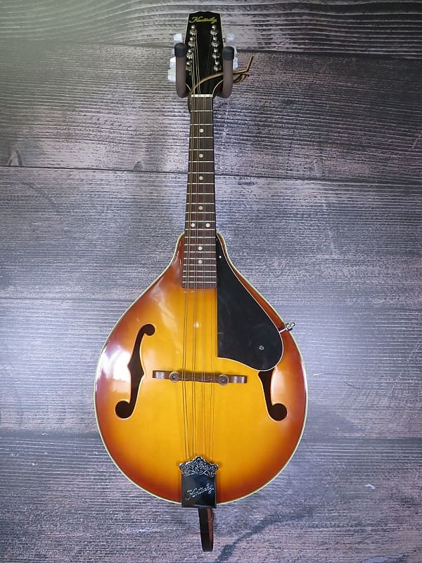 Kentucky MK160 Mandolin (Jacksonville, FL) | Reverb