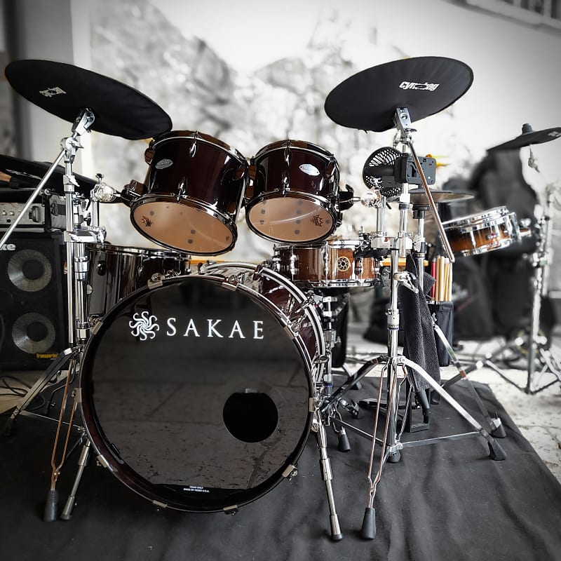 Sakae Celestial 2016 - Black Bubinga | Reverb