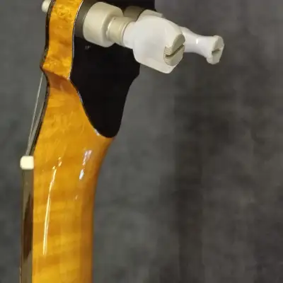 Widman Electric 5-String Banjo - Custom | Reverb