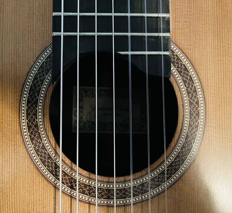 Lucas Braz 7-String 2021 - French Polish | Reverb