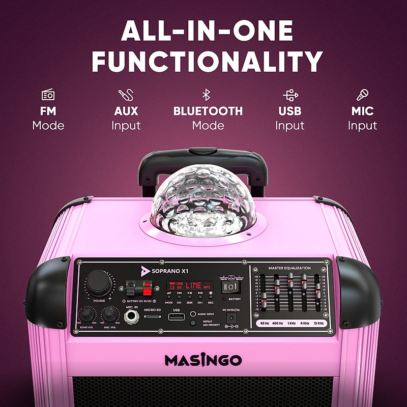 MASINGO Karaoke Machine for Adults & Kids with 2 UHF Wireless | Reverb