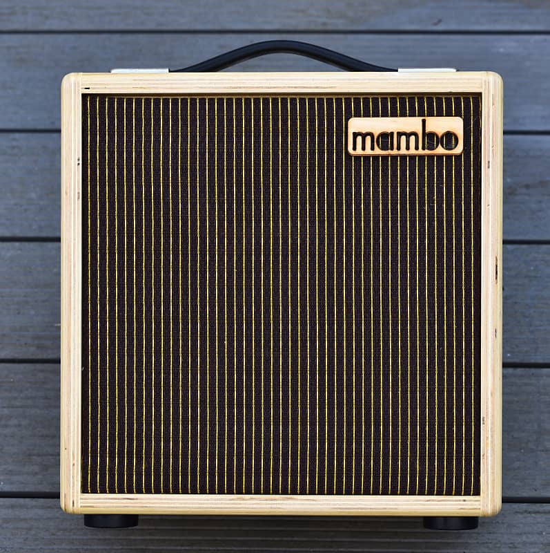 Mambo Amp 10" combo | Reverb