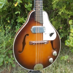KAY N-2 Mandolin 1960s 2 Color Sunburst | Reverb