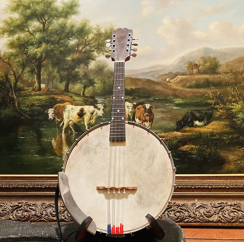 Weymann Banjolin ~1915 Vintage UPDATED | Reverb