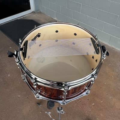 Tama 6.5x14" SLP Power Maple Snare Drum in Mocha Maple Burl | Reverb