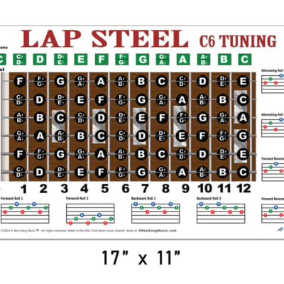 A New Song Music Lap Steel C6 Guitar Tuning Chord Poster | Reverb