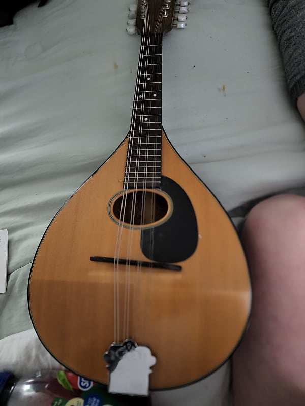 Sigma Mandolin Light brown | Reverb