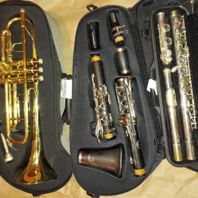 First Act Clarinet AND Trumpet AND Flute as a set, with cases | Reverb